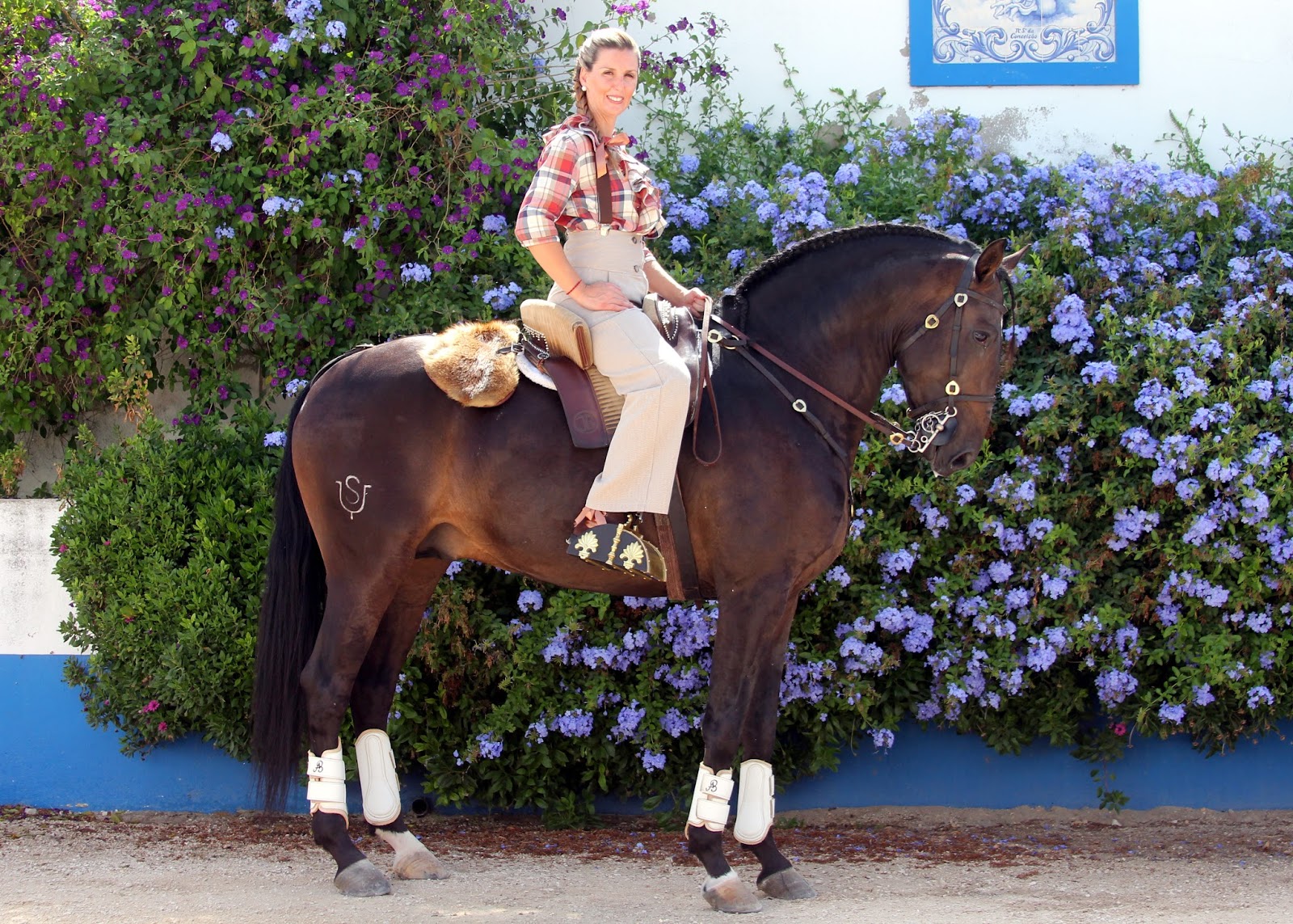 PLANETA DOS TOUROS - Para Aficionados: Ana Batista "entra" no mundo da moda