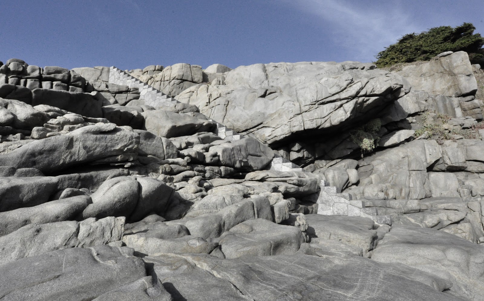 Teresa Moller y Asociados: PUNTA PITE