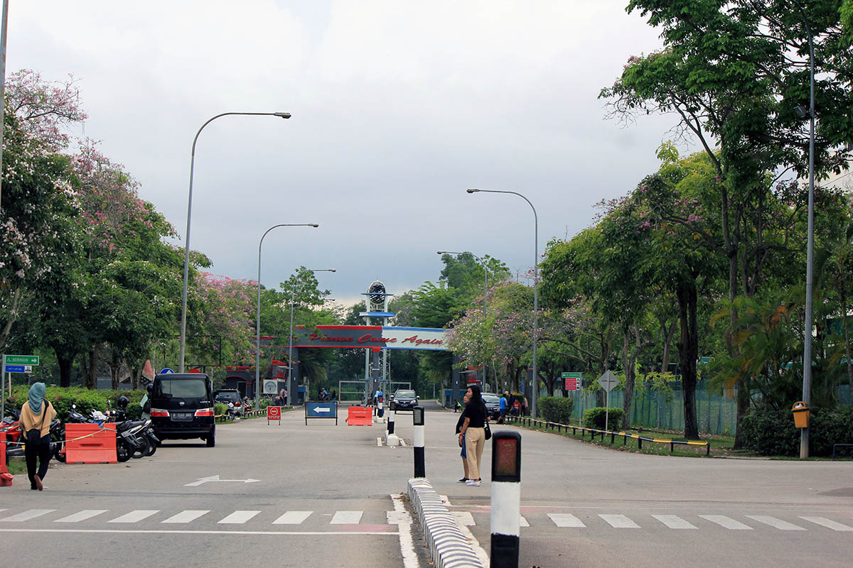 Mekarnya Bunga Sakura di Kawasan Industri Batamindo Muka Kuning Batam ...