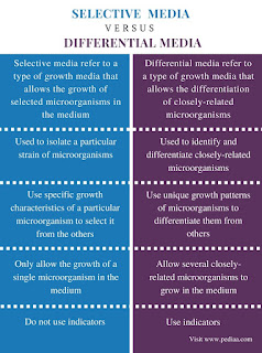 RDK PARAMEDICAL STUDENT STUDY: Difference Between Enriched Media and ...