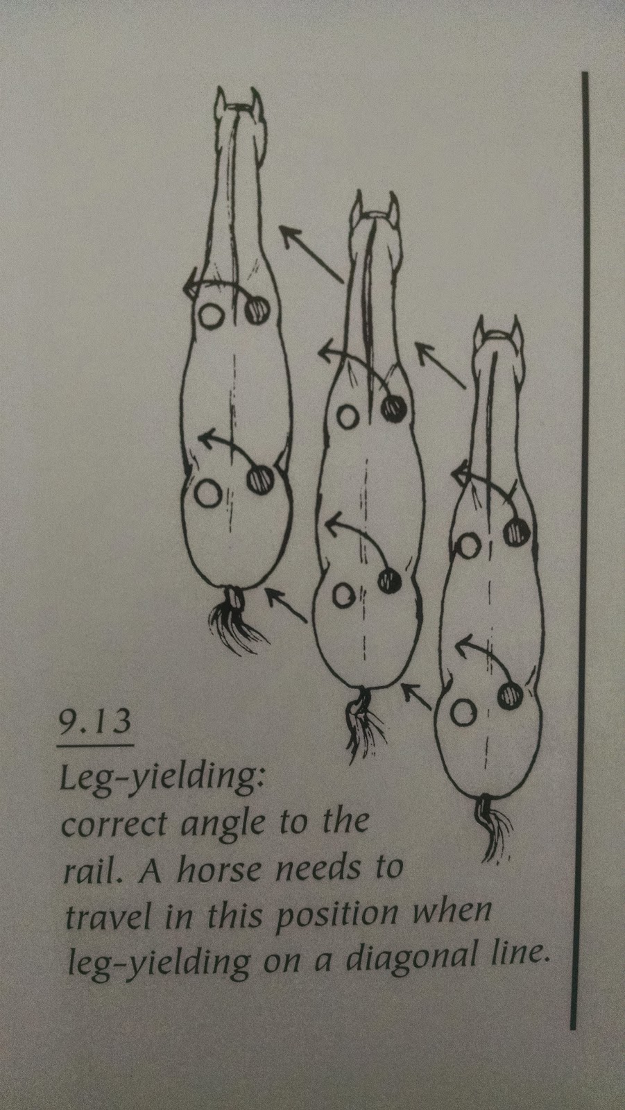 Incidents of Guidance: Expert Opinion: Leg-Yielding