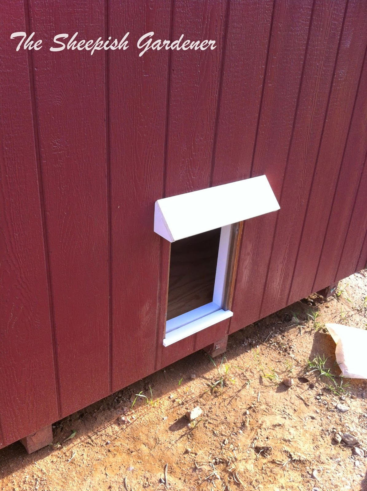 The Sheepish Gardener: Feathered Friday: Chicken Coop Pop Door
