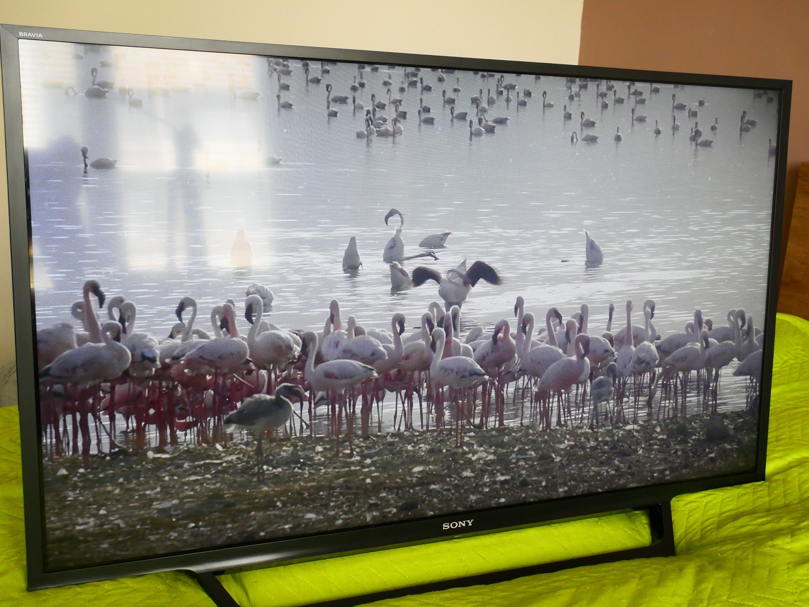 Sony 40-inch LED TV - long-term review in 2020