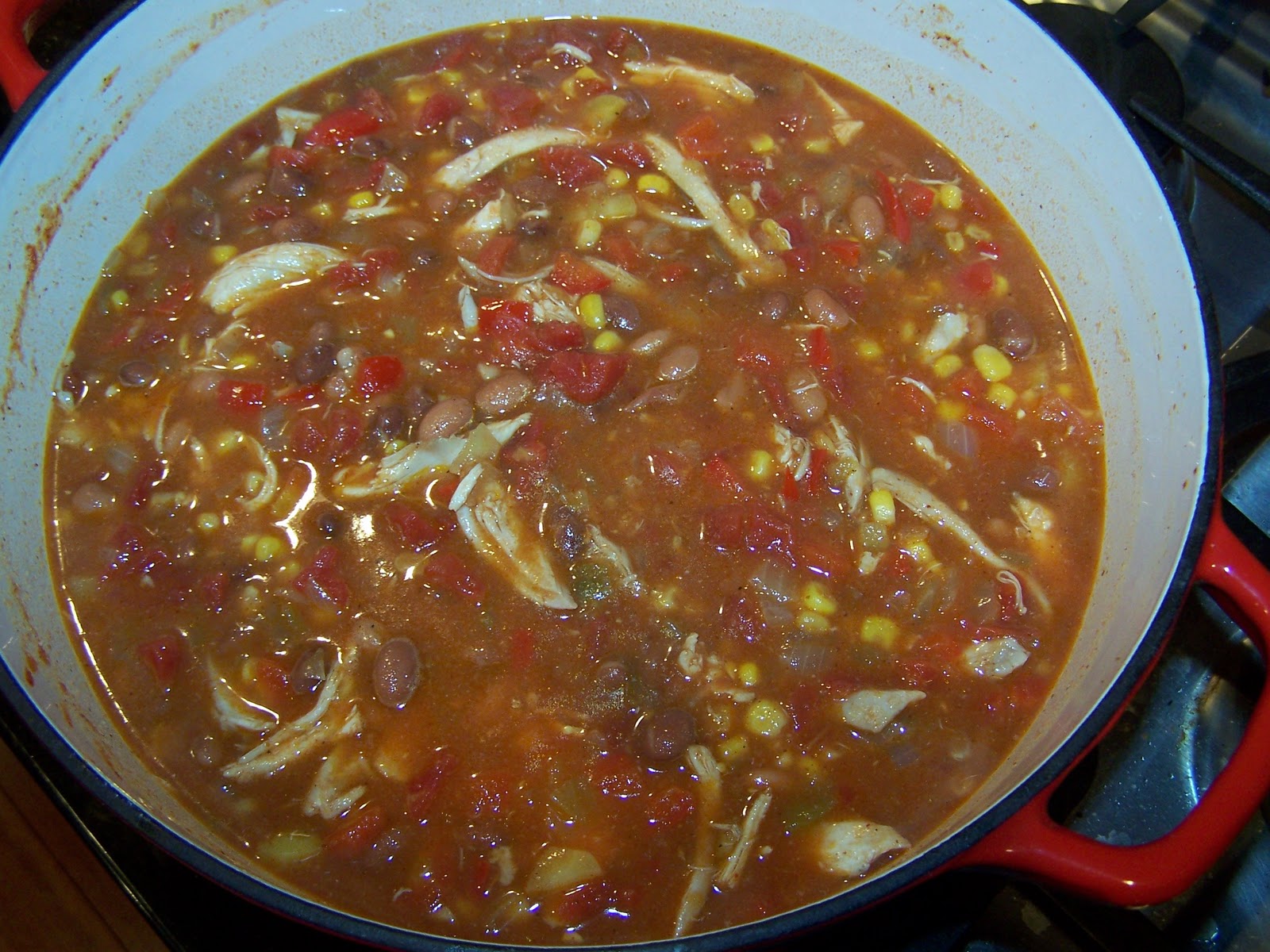 Go Ahead... Take A Bite!: Tex-Mex Chicken Chili Soup