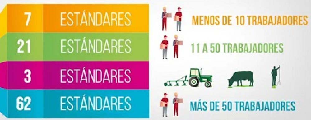 SG_SST: ESTÁNDARES MÍNIMOS SG - SST