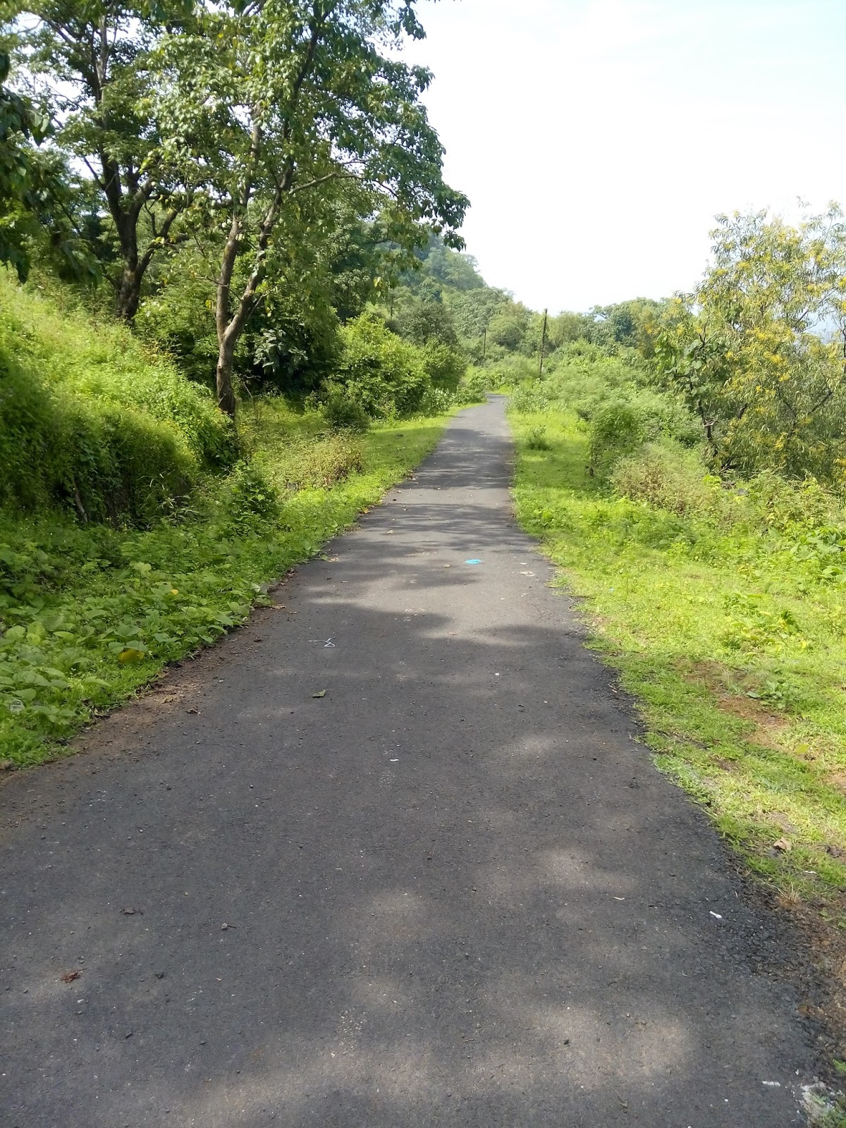Mandangad Fort aka Chitradurga Fort in Ratnagiri district in ...
