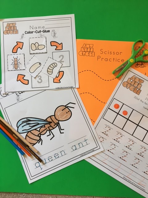 Ant Lifecycle Printable "No Prep" ~ Preschool Printables