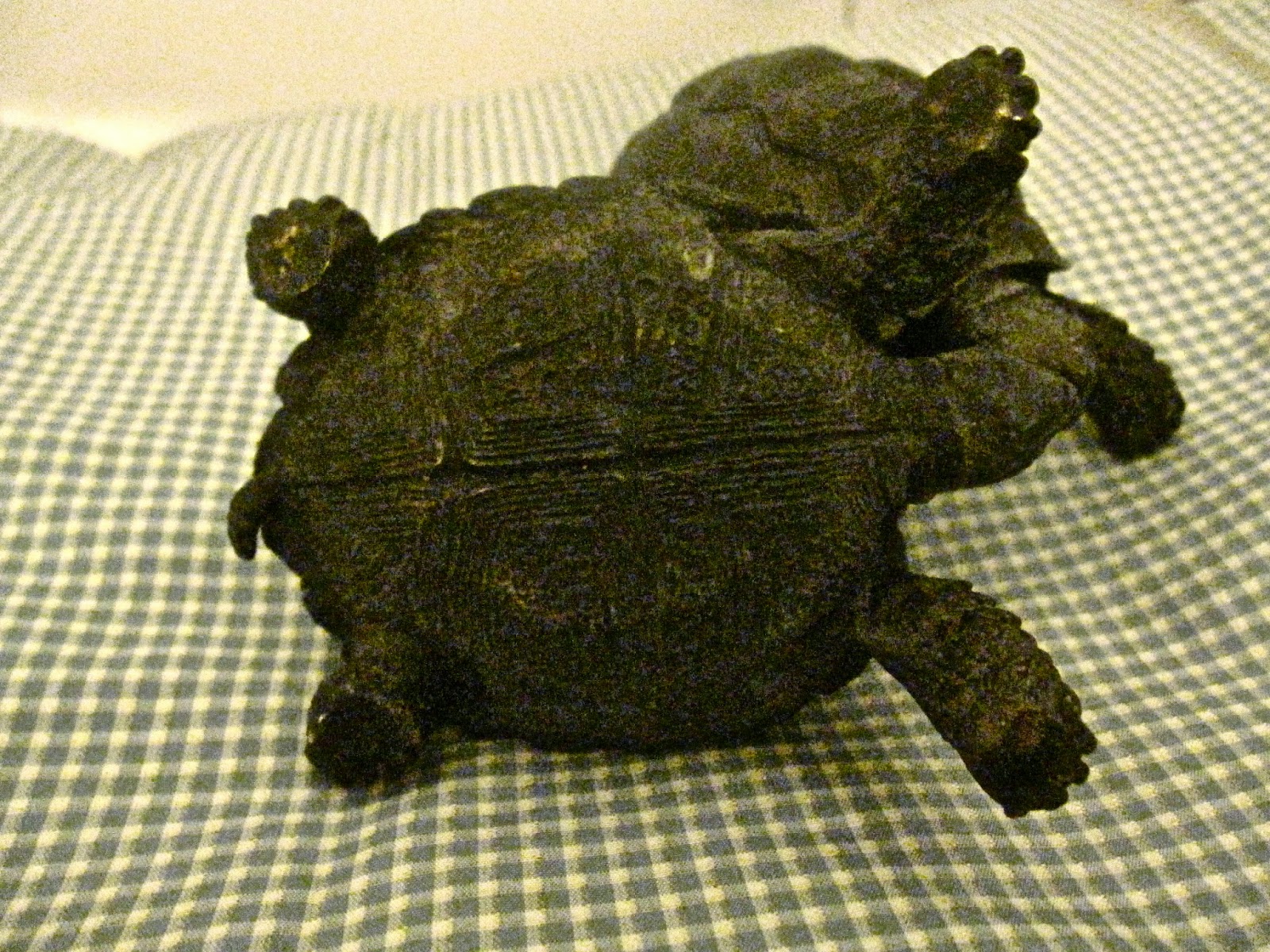 Jones and Cole: TORTOISE WISDOM