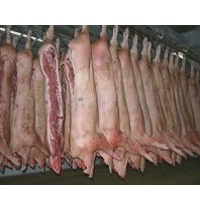 Abator porci Prahova (ploiesti, cartier nuci): Abator (carcasa de porc)