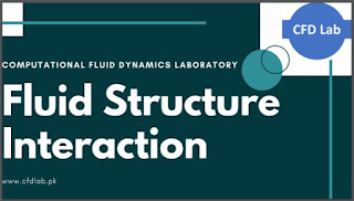 Fluid Structure Interaction FSI