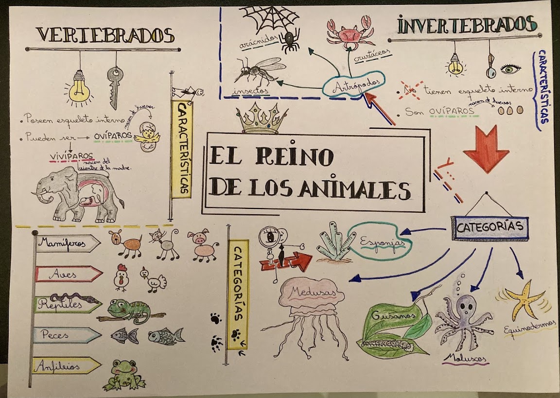 Visual Thinking en Educación