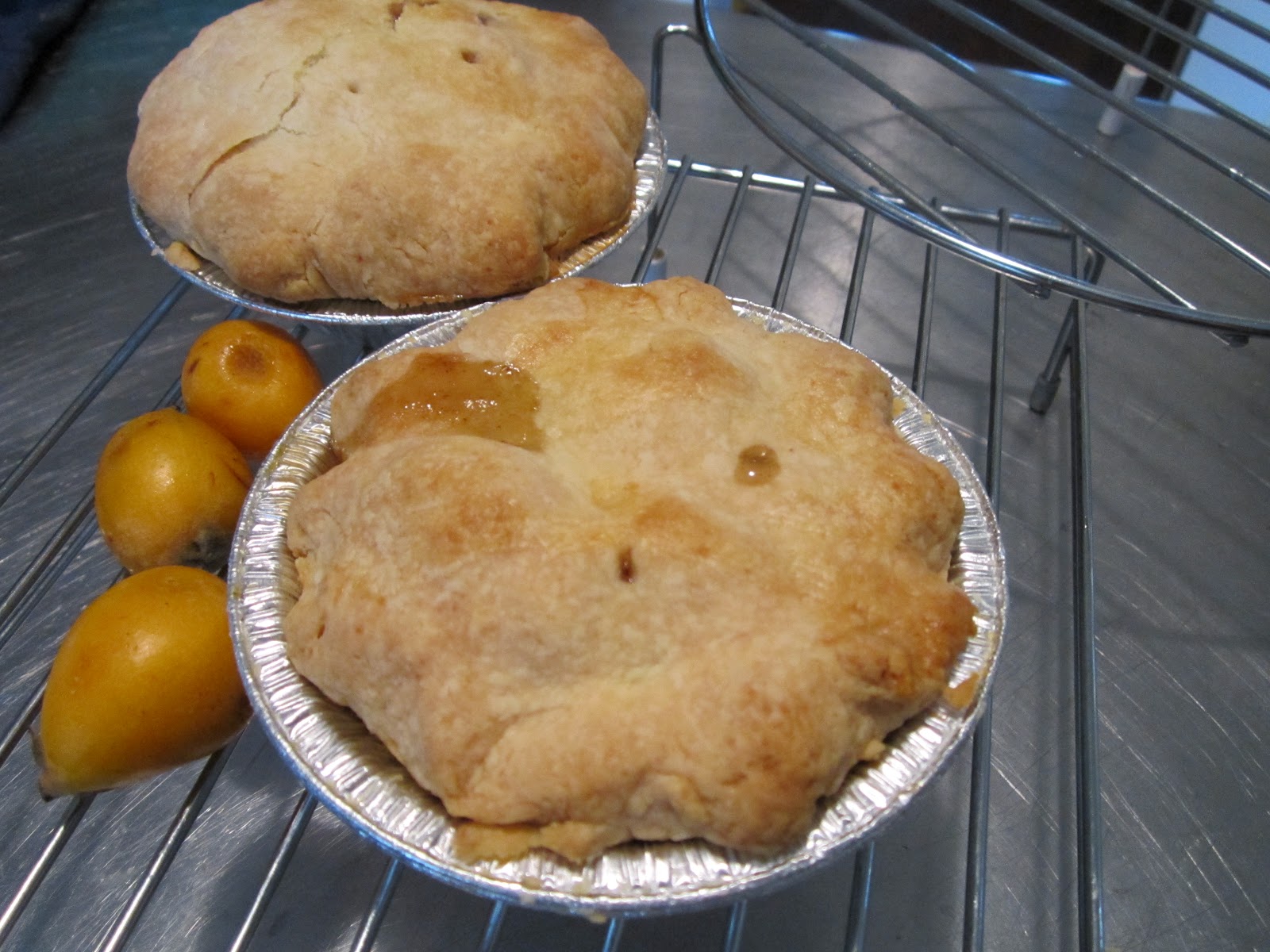 Wild Edible Texas: Loquats