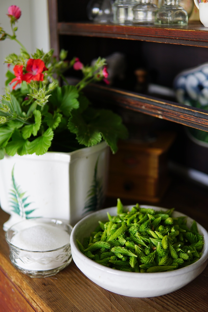 Lumo Lifestyle: Kuusenkerkkäsiirappia keittelemässä | Homemade spruce ...