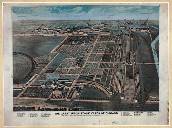 The Digital Research Library of Illinois History Journal™ : National ...