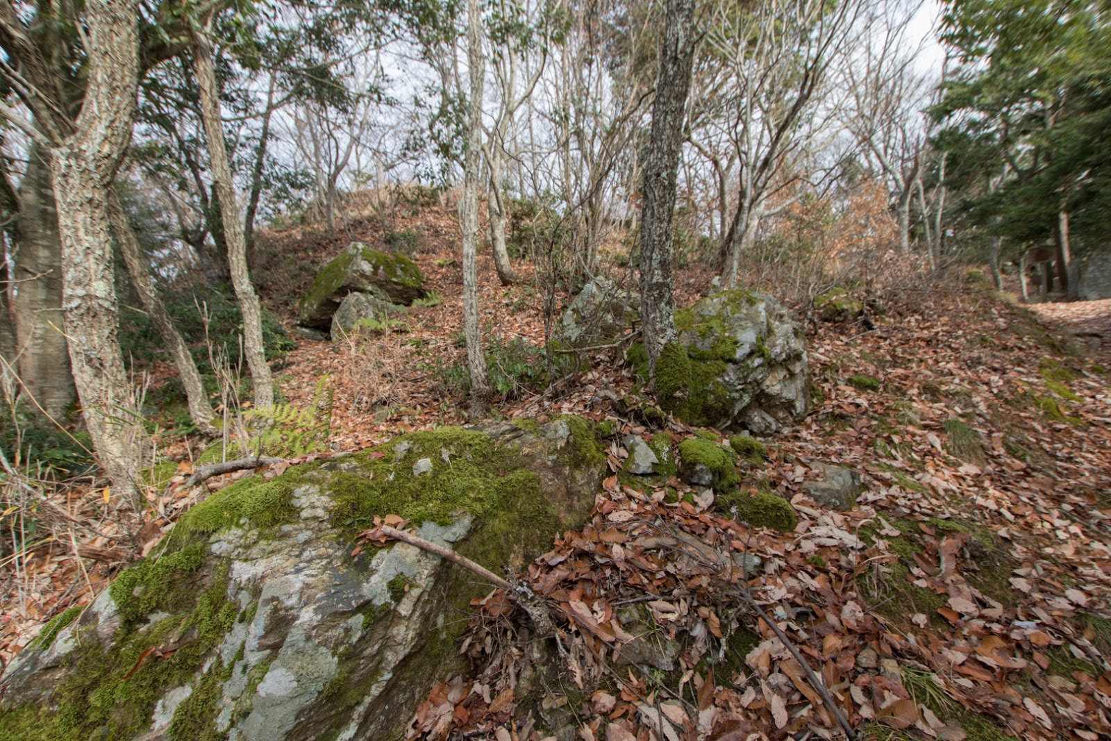 Odani Castle (1) -History of three generation of Azai clan- | Ken's ...