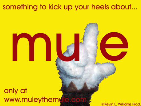 MuleyTheMule.com: "Monkey See, Monkey Do" Part 2