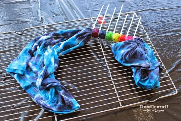 How to Host a Tie Dye T-shirt Party!