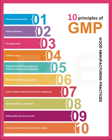 Everything you need to know about GMP (Good Manufacturing Practice ...