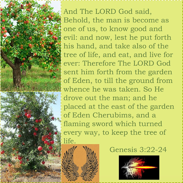 scrippix: The Guards of The Garden of Eden-Cherubim