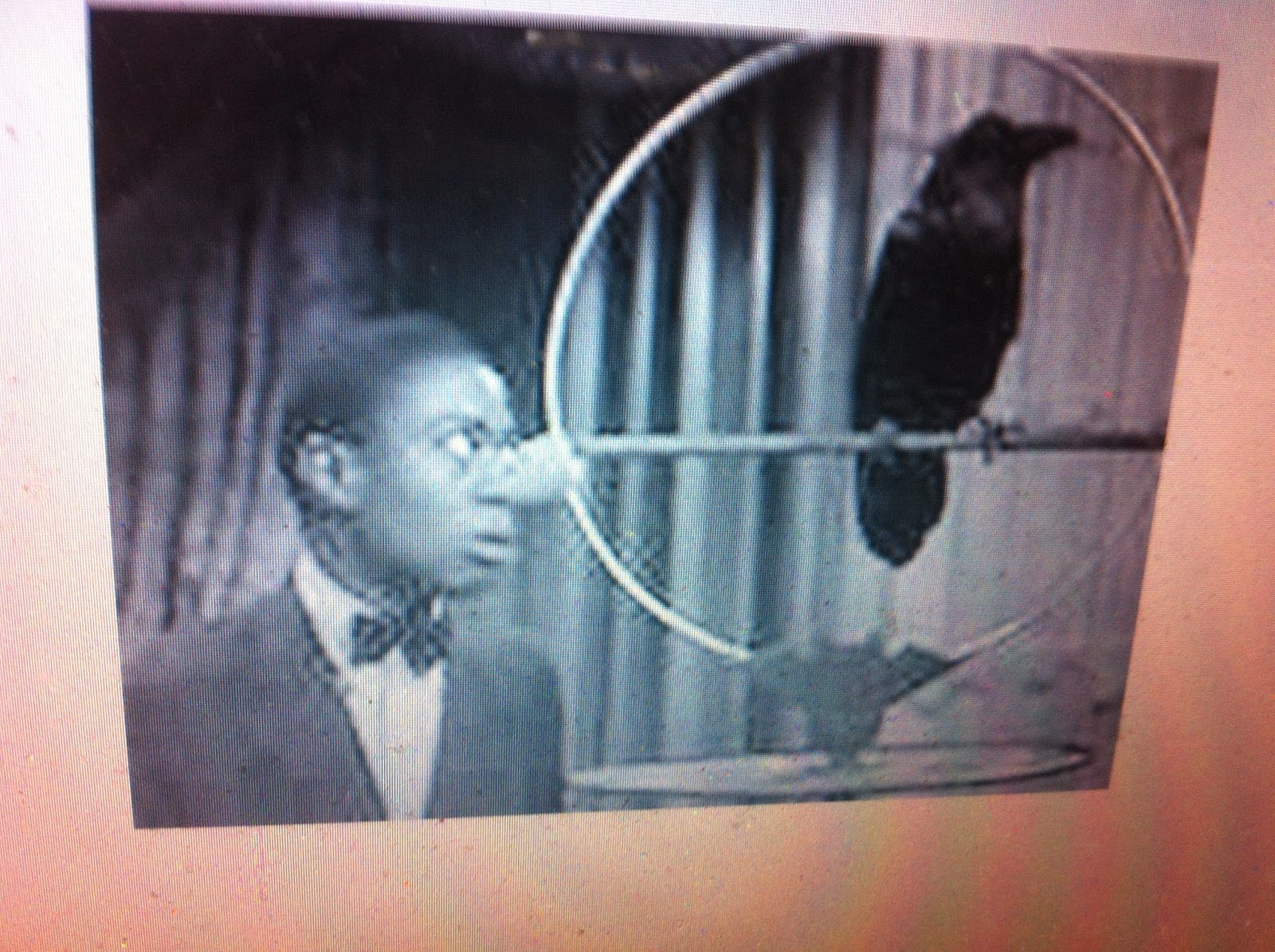 THE BLACK SOCIAL HISTORY:: BLACK SOCIAL HISTORY : AFRICAN AMERICAN ...