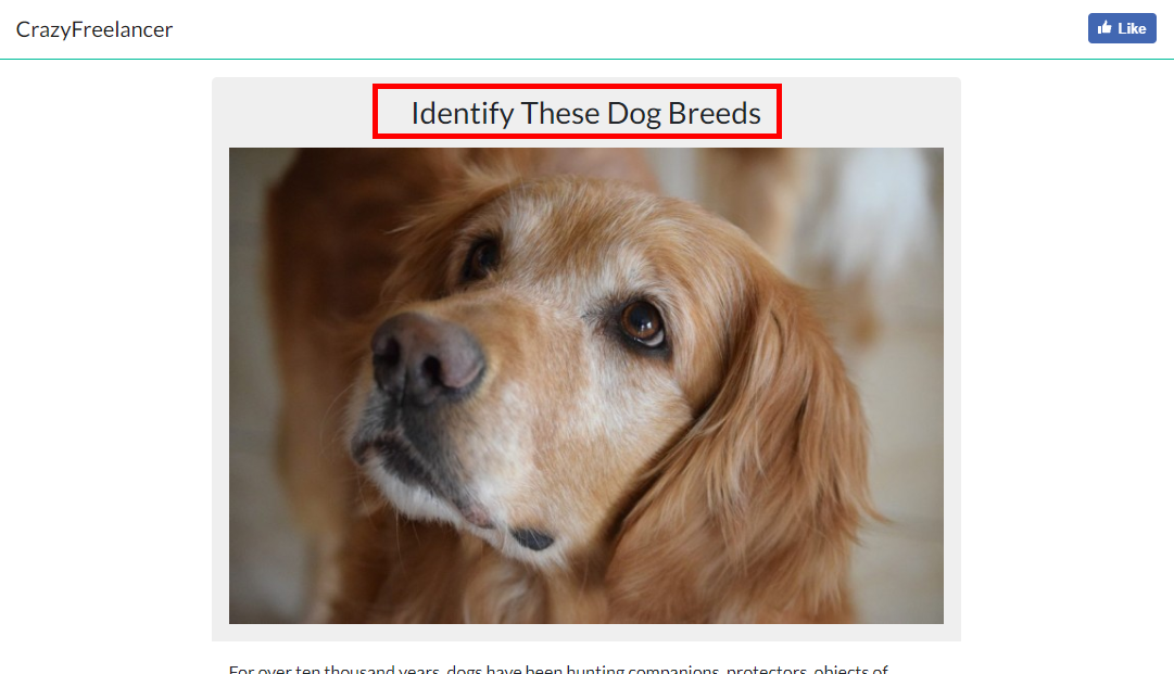 CrazyFreeLancer Identify These Dog Breeds Quiz Answers crazyfreelancer-identify-these-dog-breeds-quiz-answers