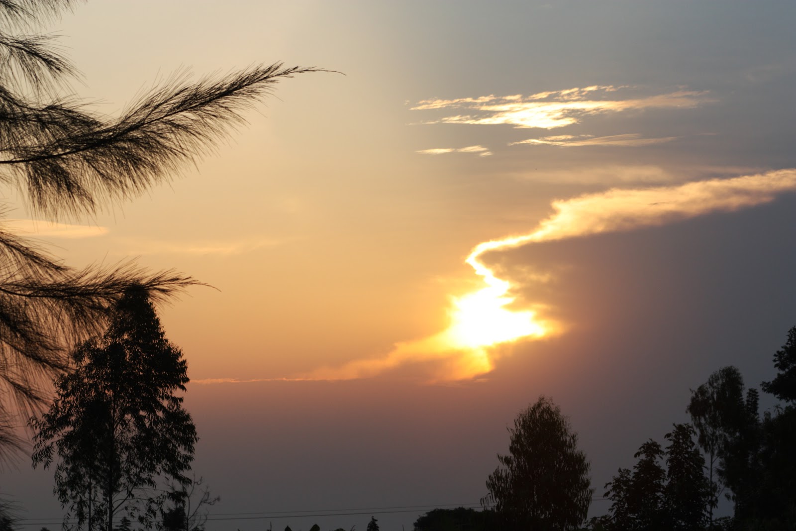 Majestic International Tours and Travel: Tororo