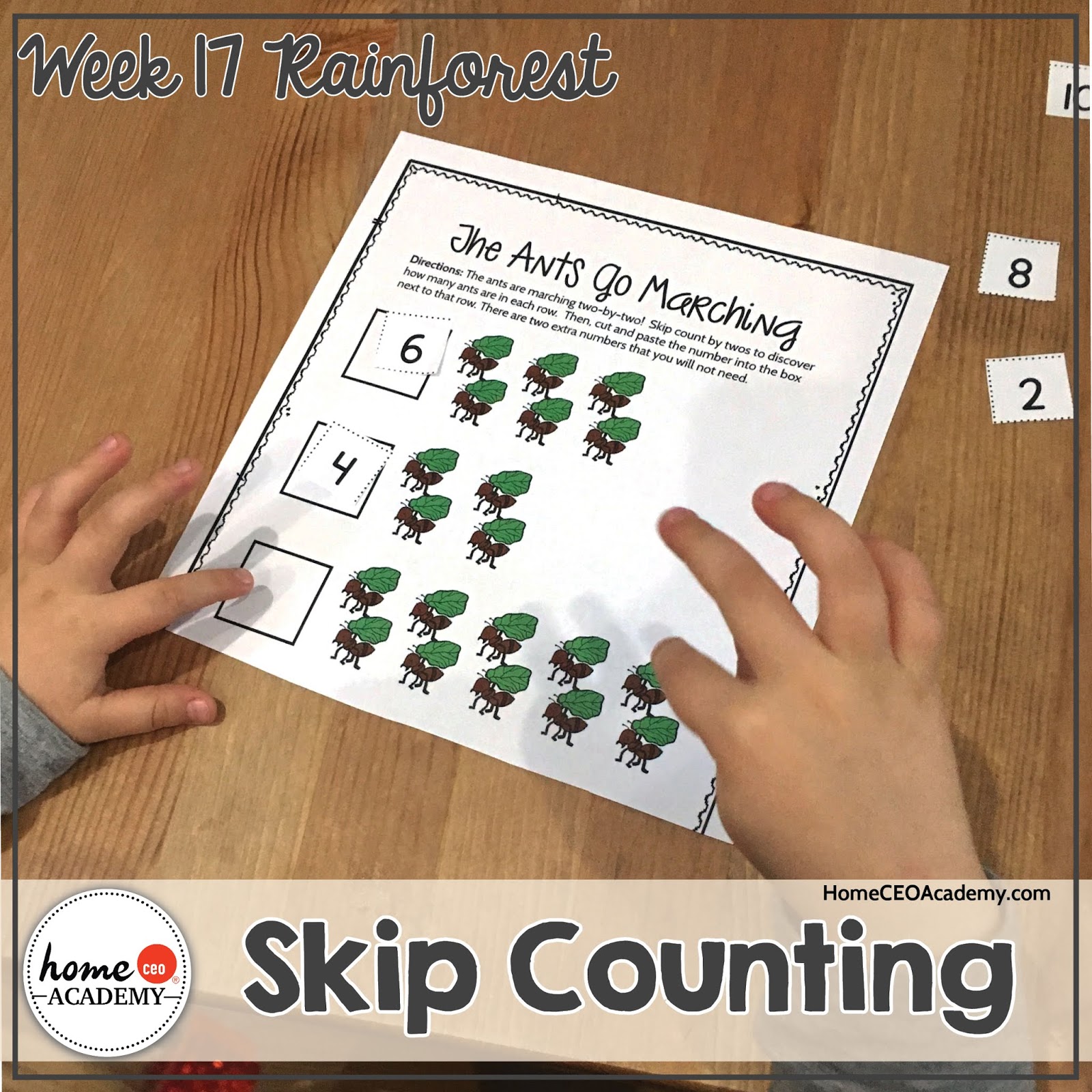 Preschool Habitats: Rainforest Theme by Home CEO Academy