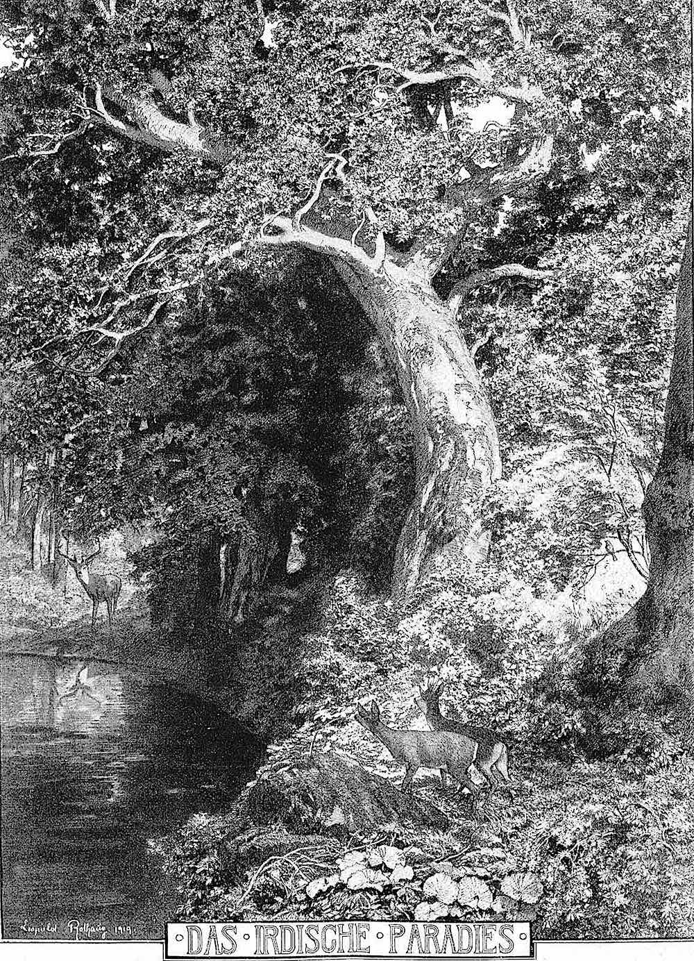 GO to MOOT POINT: The Many Faces of . . . ALLURE