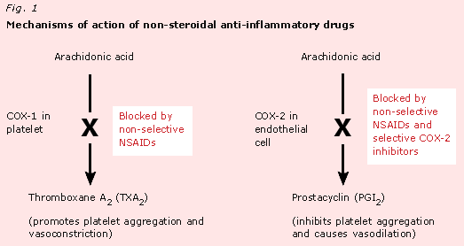 Primer for Understanding Targeted Medical Pharma's (TMP's) Products