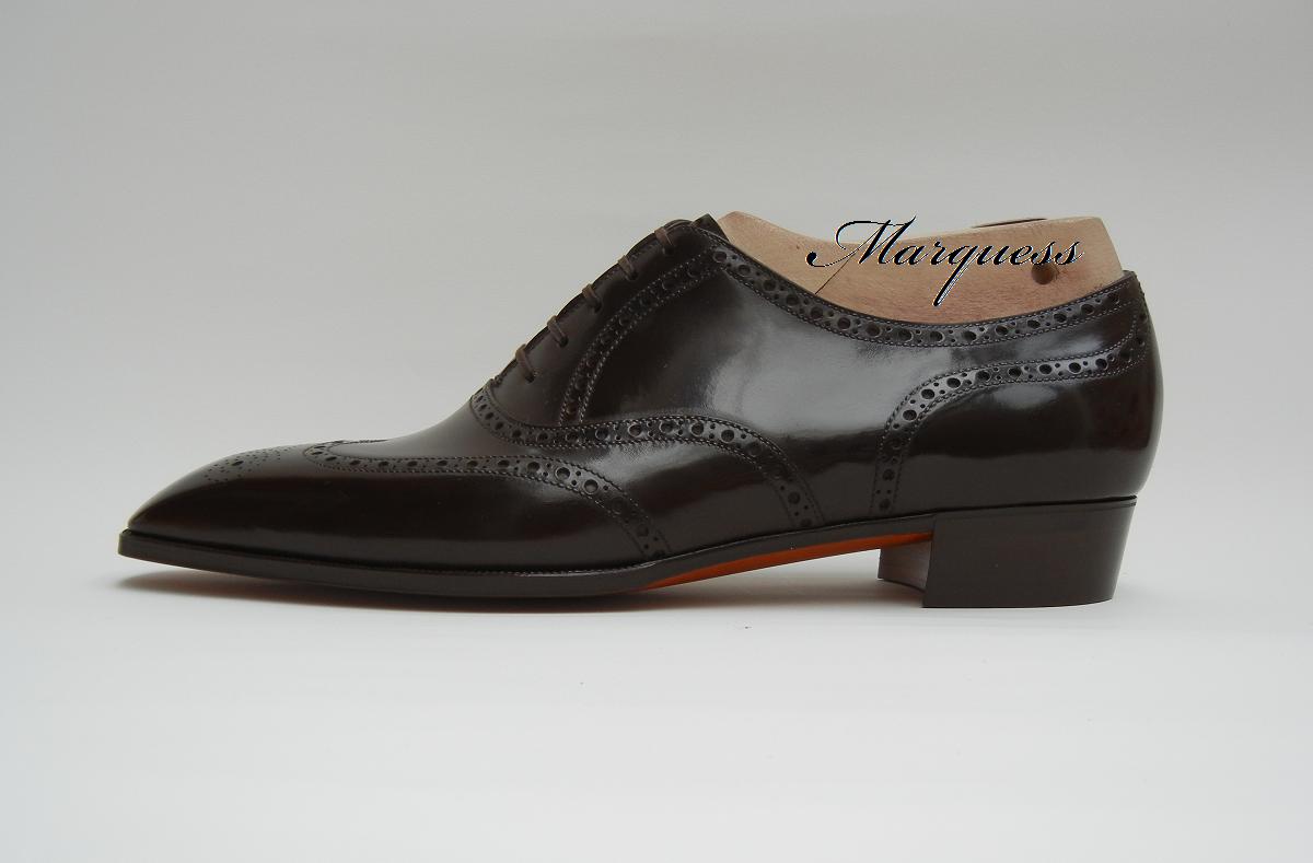 The Shoe AristoCat: The Marquess Full Brogue in brown