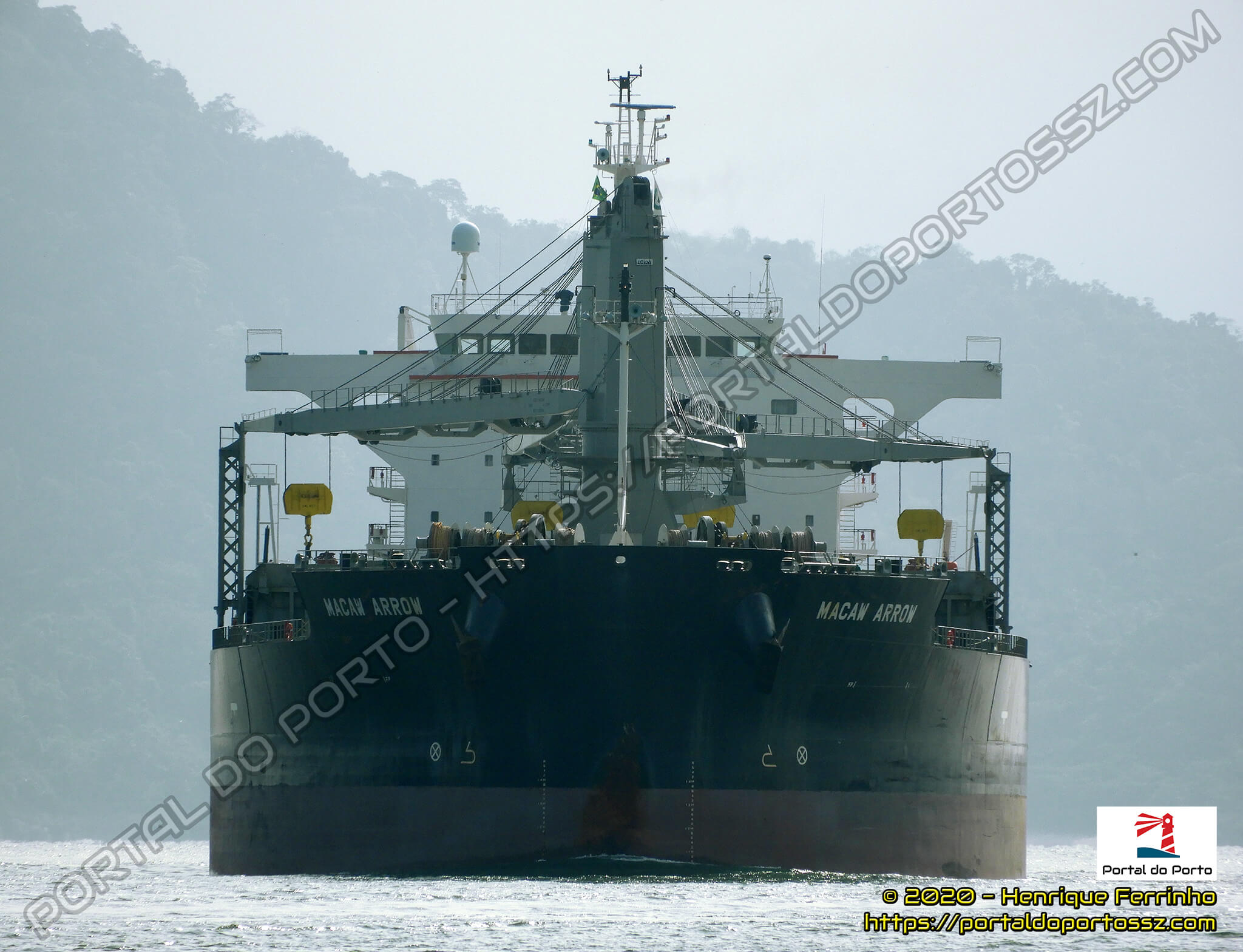 Macaw Arrow - Portal do Porto