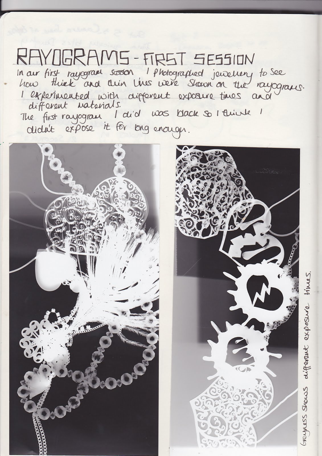 Sarah Chester's Reflective Blog: Second photography session- Rayograms