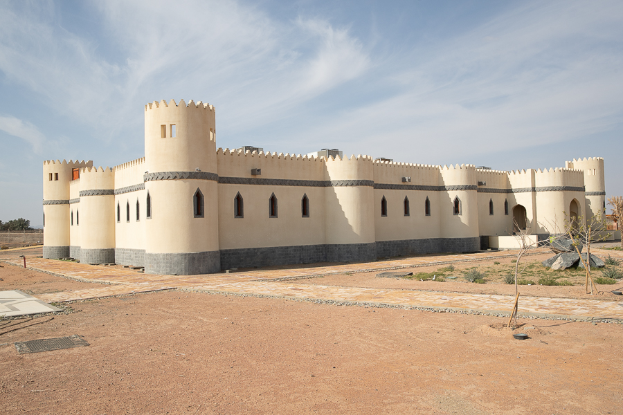 Birds of Saudi Arabia: Fayd Fort – Fayd