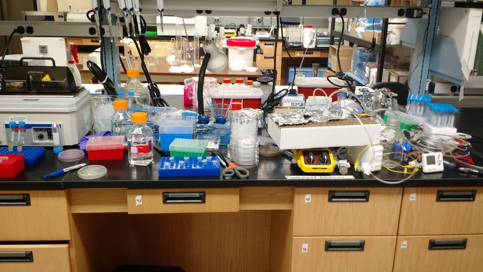 Science, Art, Beauty: What's it like to be a Synthetic Biology ...