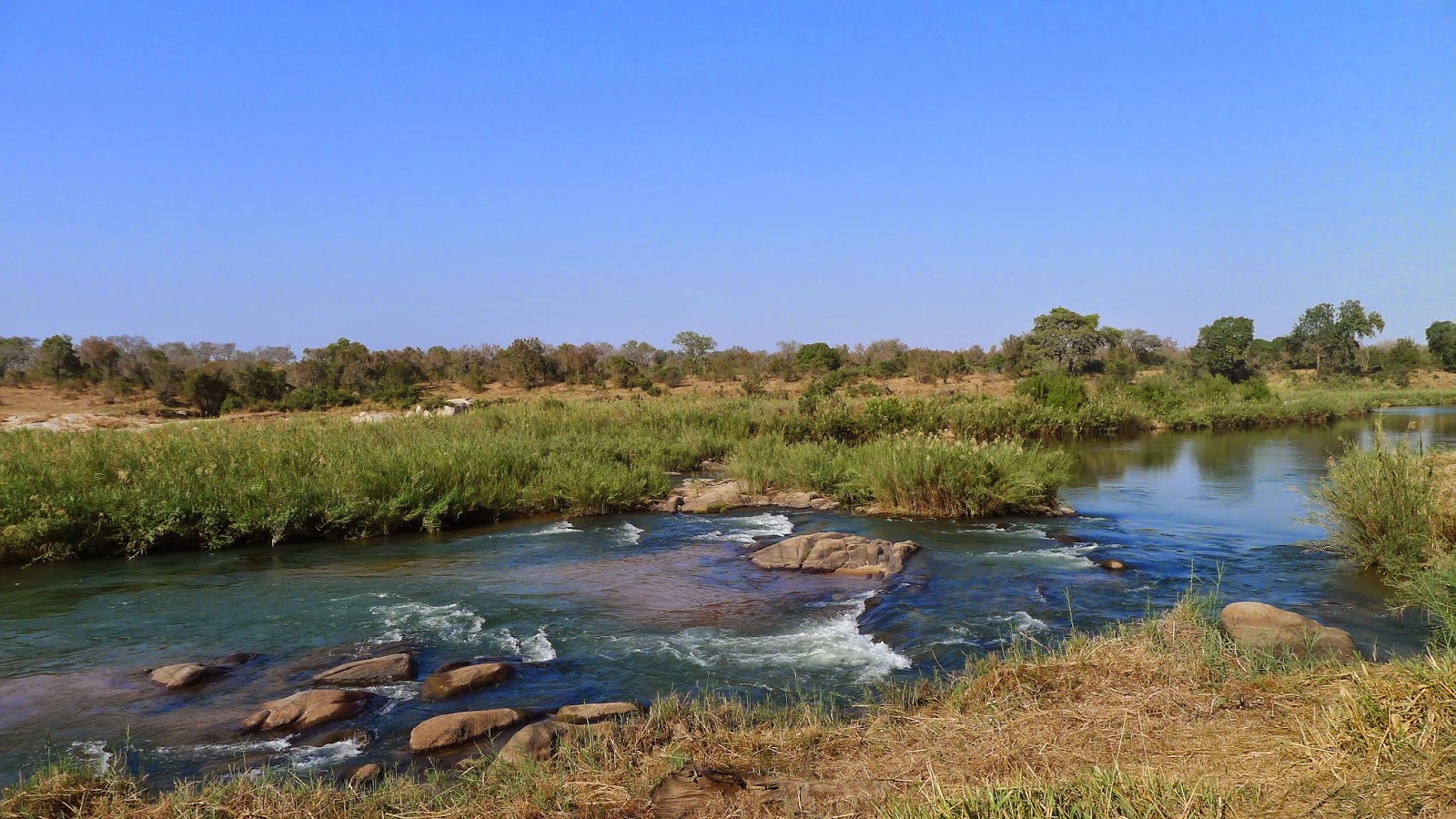 Worldbirder: Winter days in Sabie Park.