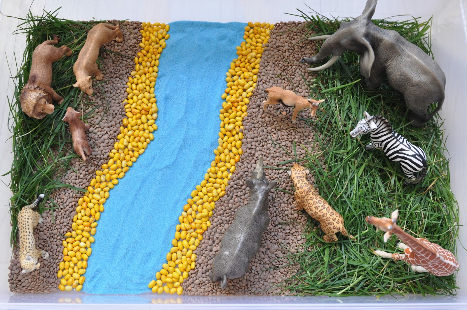 Creative Projects for Kids: African Savannah Sensory Bin