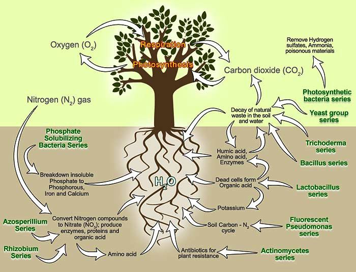 Een ontdekkingsreis in de wereld van voedsel, bodem en water ...