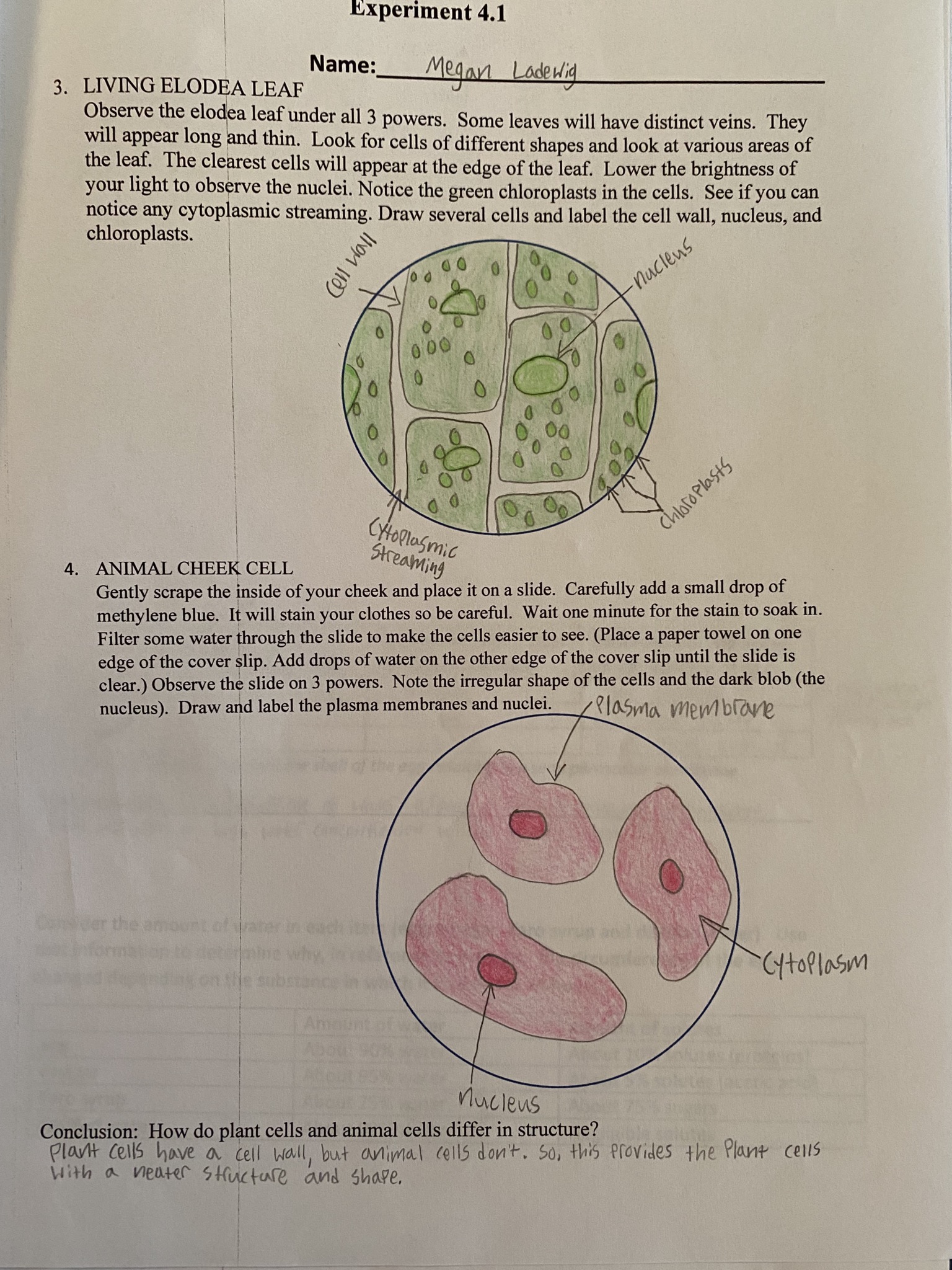 Homeschool Happenings: Apologia Biology