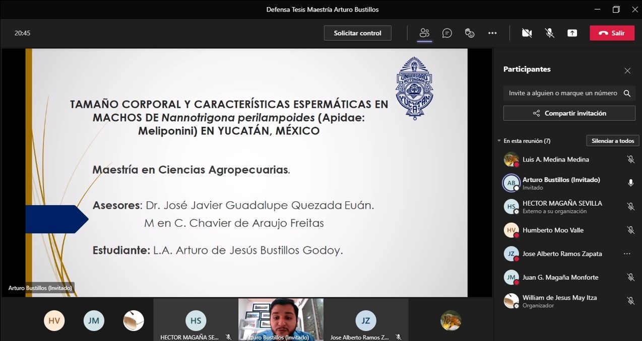 Abejas Yucatán UADY / Bees Yucatan UADY Abejas Yucatán UADY / Bees Yucatan UADY