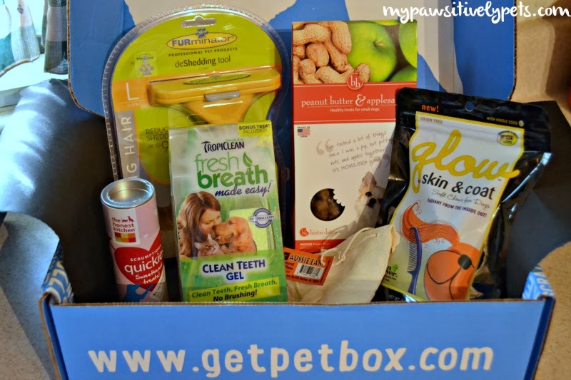 February #PetBox for Dogs | Review and Giveaway | Pawsitively Pets