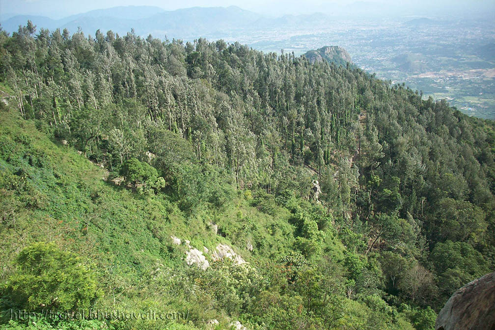 Top 7 best places to visit in Yercaud one-day trip (Salem - Tamil Nadu ...