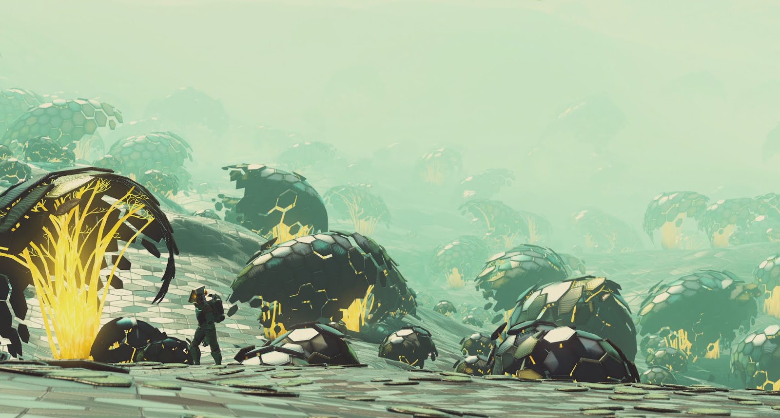 No Man's Sky PS4 Mods: NMS web Screenshots