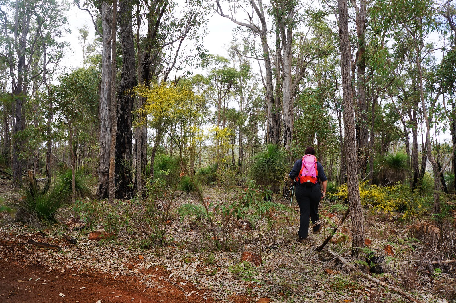 Wungong Gorge Walk GPS Route (Wungong Regional Park) ~ The Long Way's ...