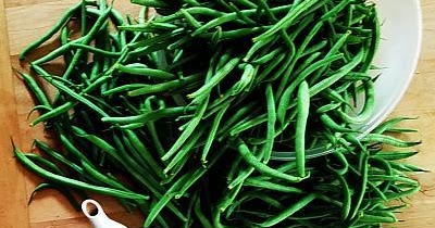 Science matters: Peak Bean