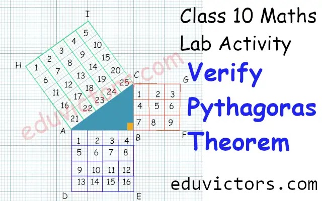 CBSE Papers, Questions, Answers, MCQ ...: CBSE Class 10 Maths Lab Activity: To verify Pythagoras ...