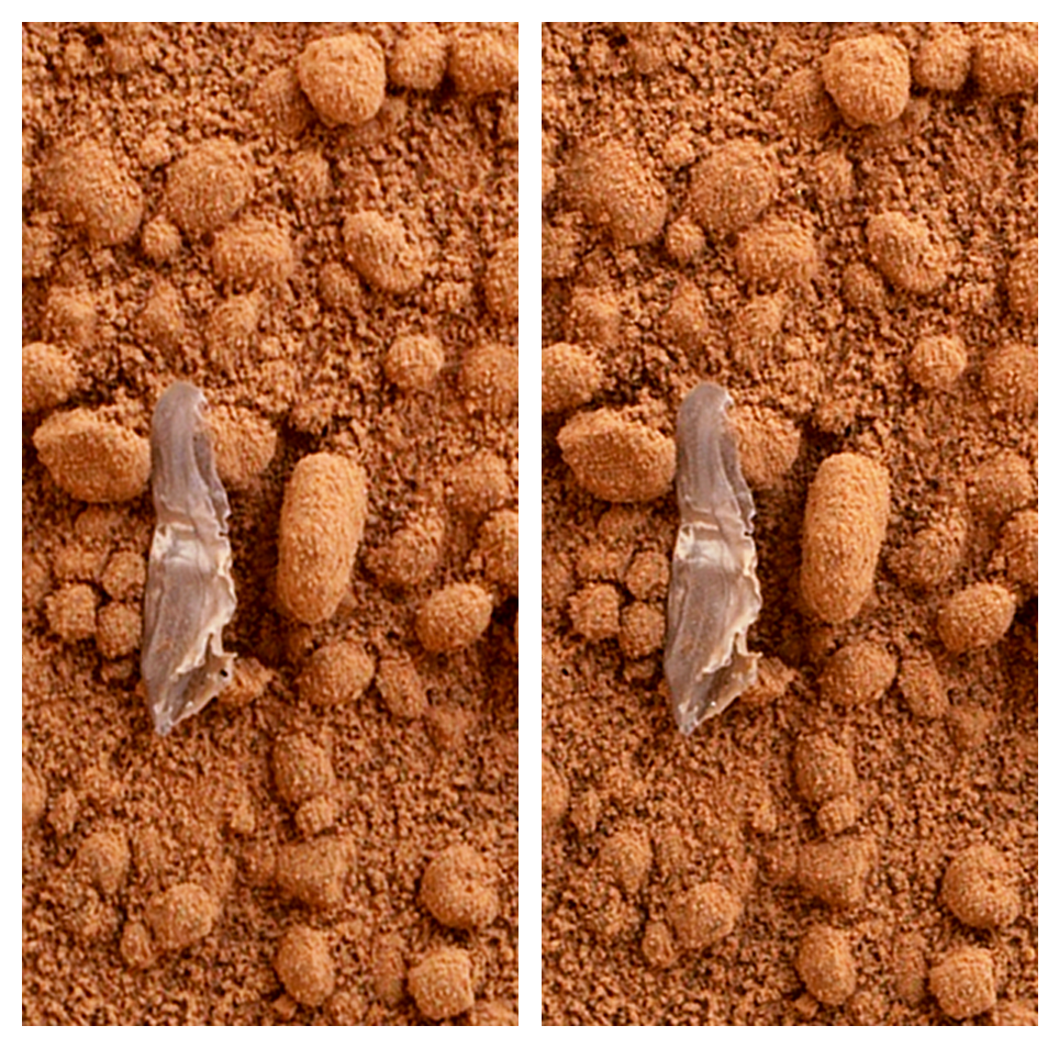inordinate detail: Bit of trash on Mars, stereo pair