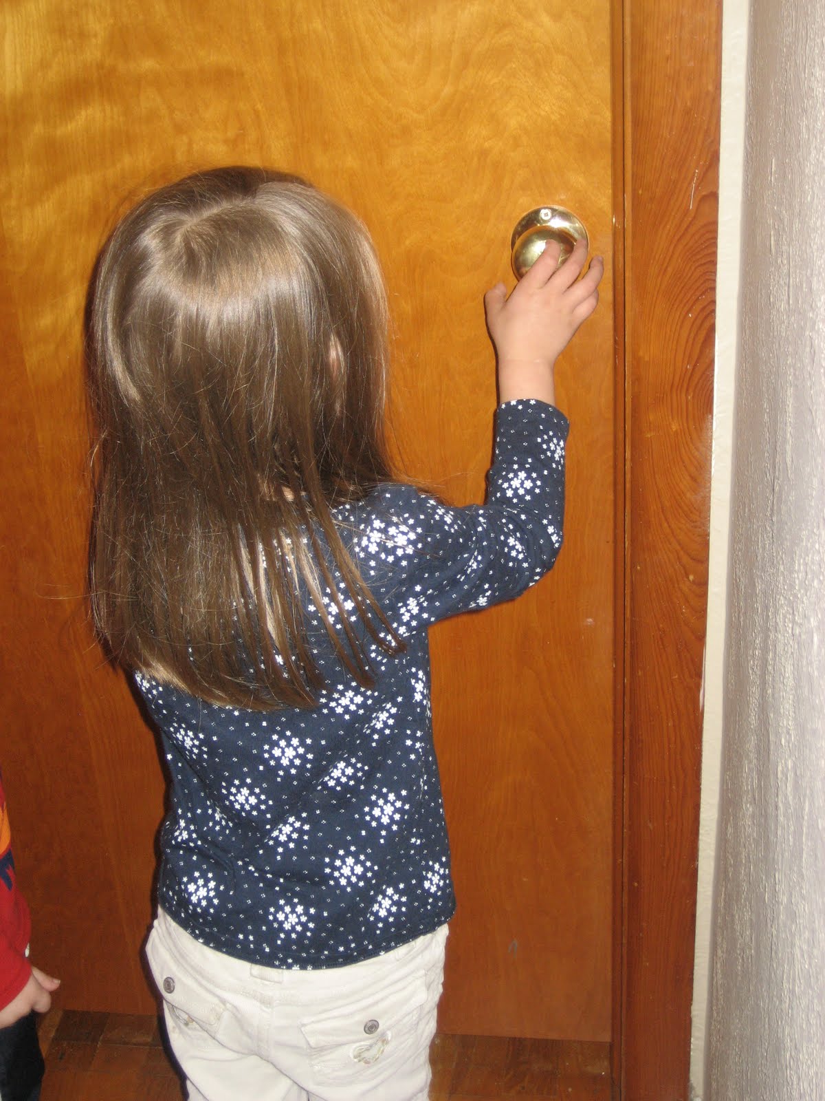 The Preschool Experiment: Tot School: Camping/Bears