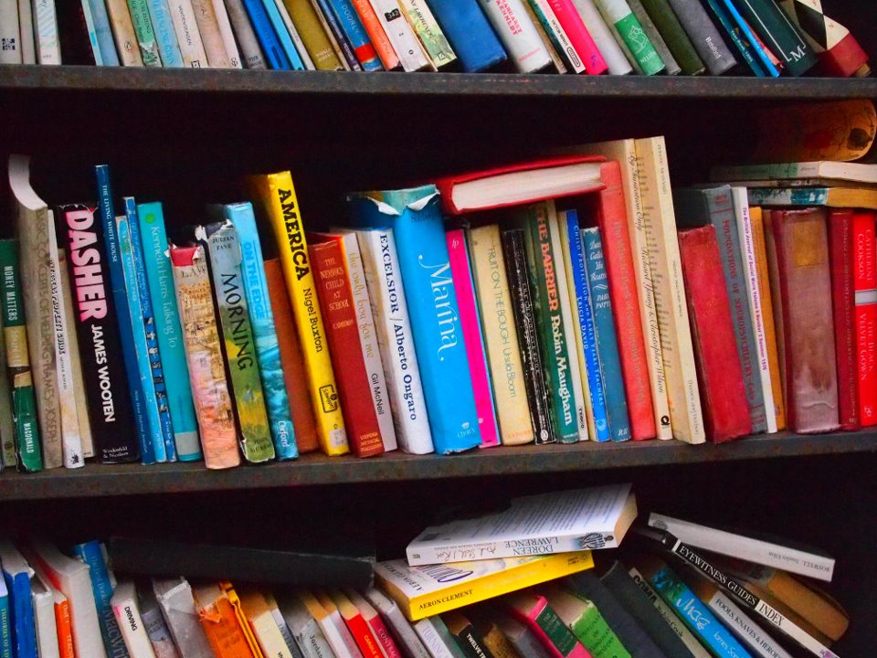 Ben's Adventures : Books, books everywhere........