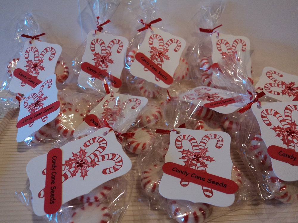 Card Corner by Candee: Candy Cane Seeds