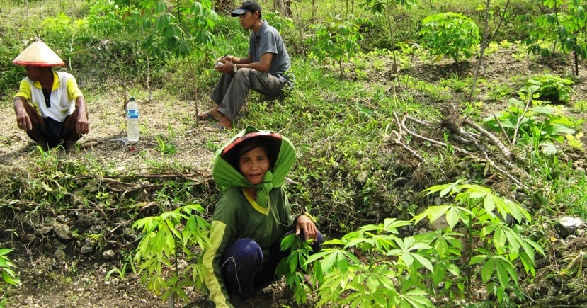 Kelompok 7 Sosial Pertanian Universitas Brawijaya: MASYARAKAT PEDESAAN ...